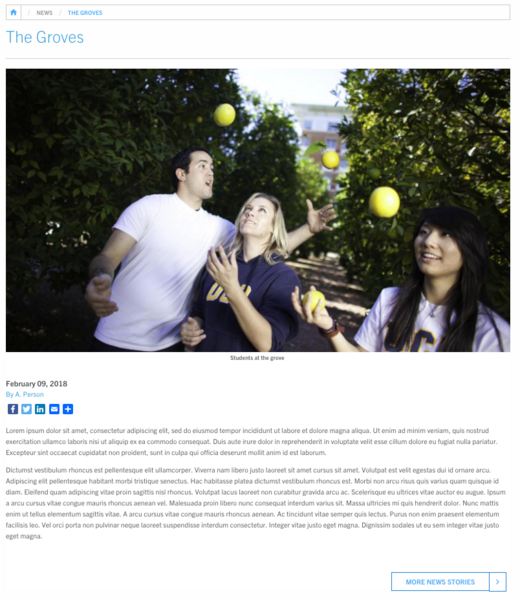 Article Example News Item Websites article-example-news-item-websites